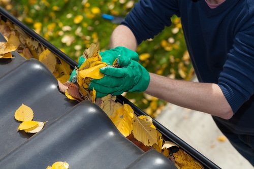 Gutters Can House Fall Pests - Emtec Pest Control