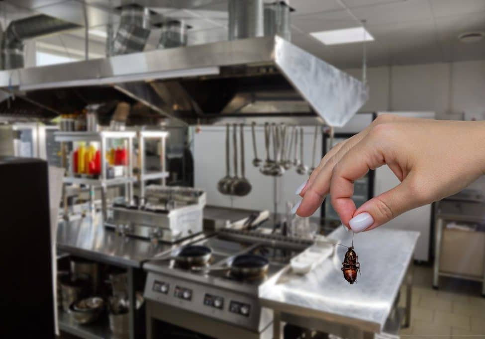 Emtec Pest Control Edmond | Safe & Effective Solutions